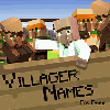 Villager Names (Fabric) [1.21] [1.19.4] [1.18.2] [1.17.1]